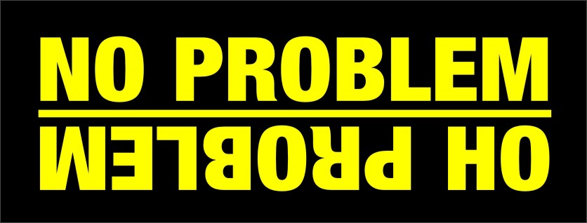 NO PROBLEM funny vinyl decal 260 x 80 mm, choose your color - Crazy Fish