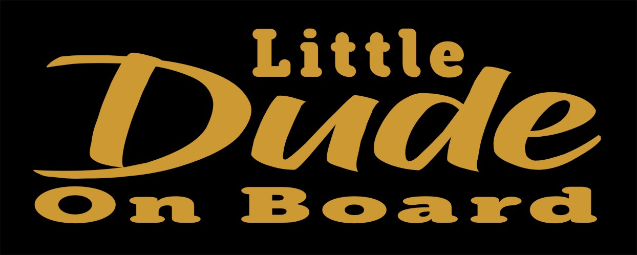 Little Dude decal 200 x 70 mm choose your color - Crazy Fish