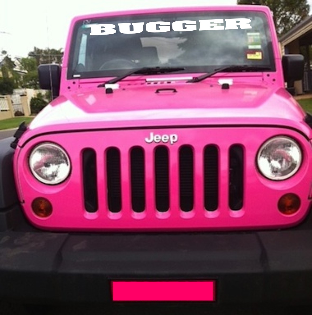 BUGGER screen decal 1000 x 110 mm CONFIRM your color - Crazyfish