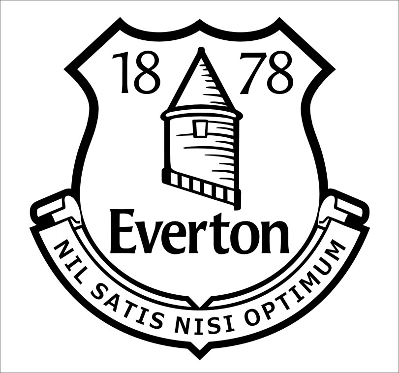 Everton decal 160 x 160 mm choose your color - Crazy Fish