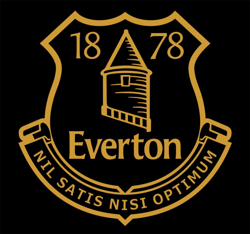 Everton decal 160 x 160 mm choose your color - Crazy Fish
