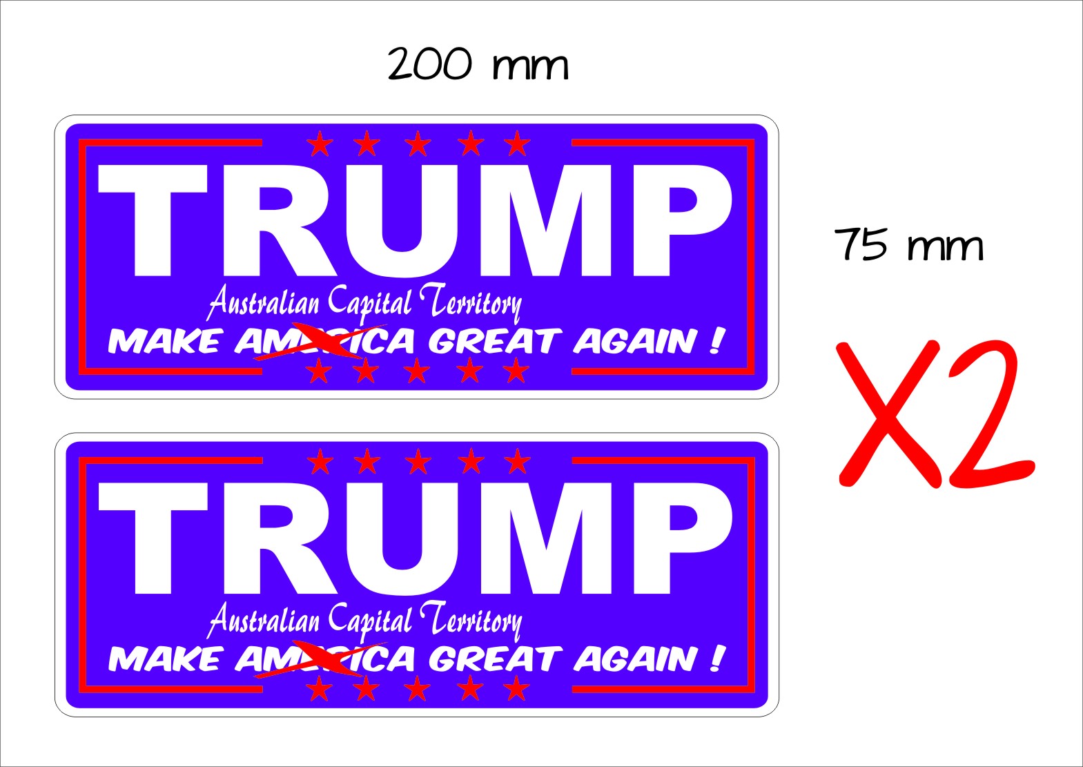 TRUMP ACT Stickers TWO (2) 200 x 75 mm each - Crazy Fish