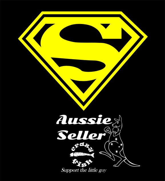 SUPERMAN vinyl decal 160 x 125 mm, choose your color - Crazy Fish