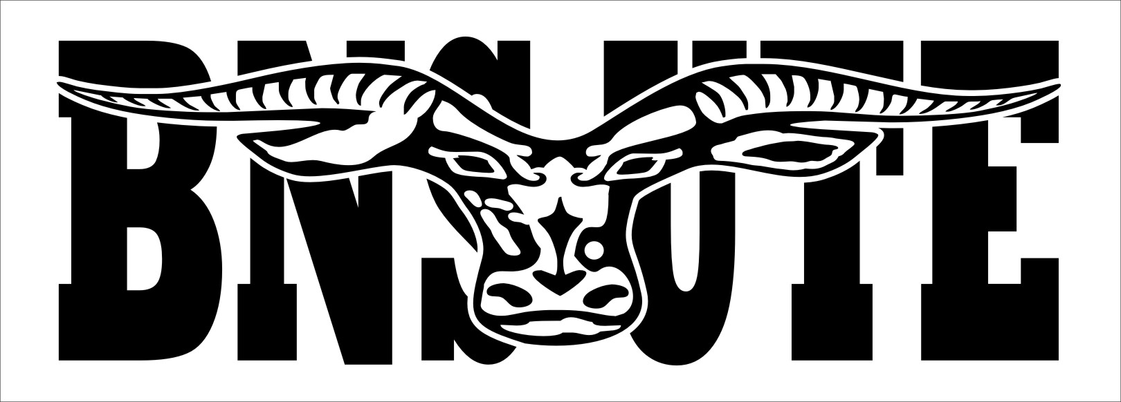 BNS UTE #2 vinyl decal 260 x 85 mm choose your color - Crazy Fish