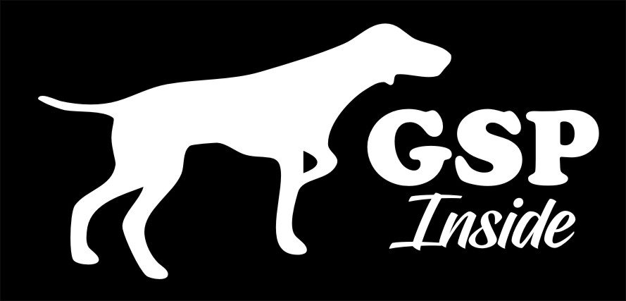 GSP Inside vinyl decal 160 x 70 mm choose your color - Crazy Fish