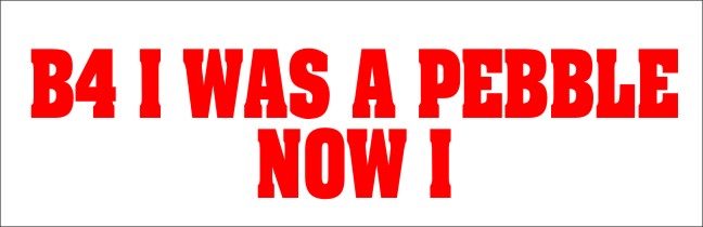 Amarok funny decal 240 x 50 mm CONFIRM your color - Crazy Fish