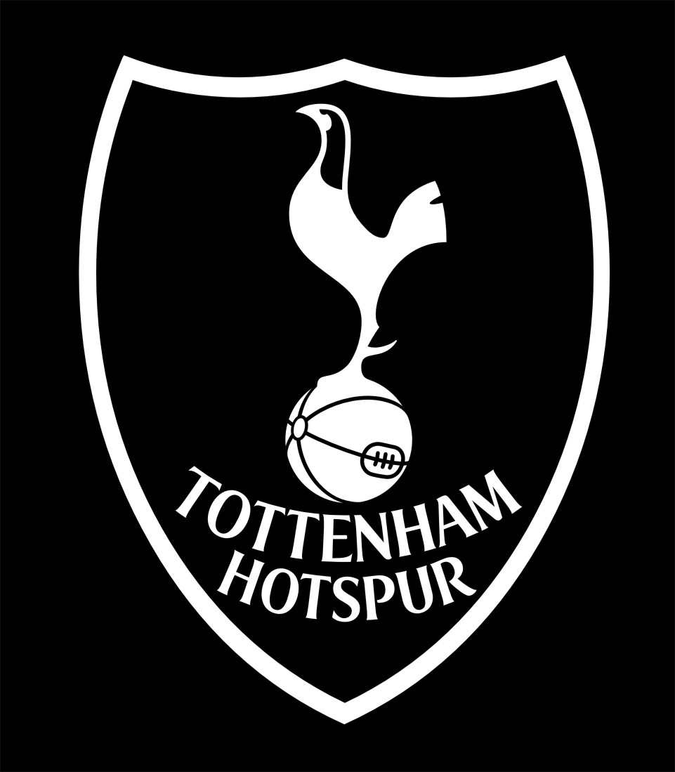 Tottenham vinyl decal 200 x 160 mm CONFIRM your color - Crazyfish