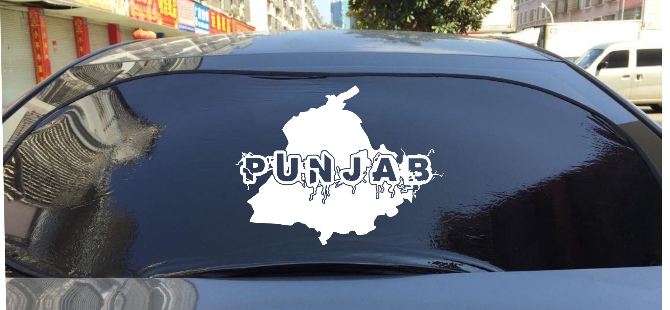 PUNJAB Indian State decal 300 x 230 mm CONFIRM your color - Crazyfish