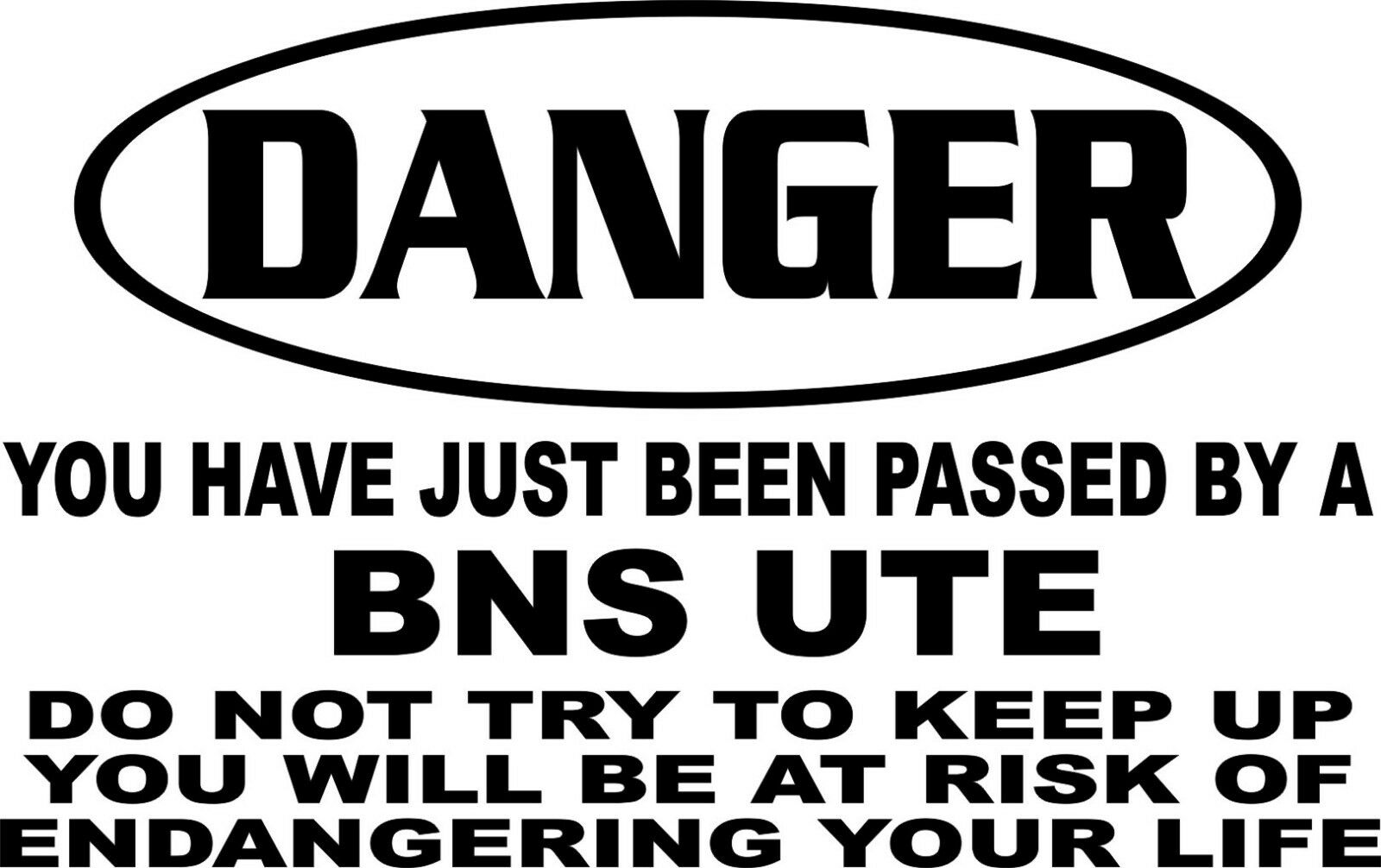 DANGER BNS UTE vinyl decal 270 x 170 mm CONFIRM your color - Crazyfish