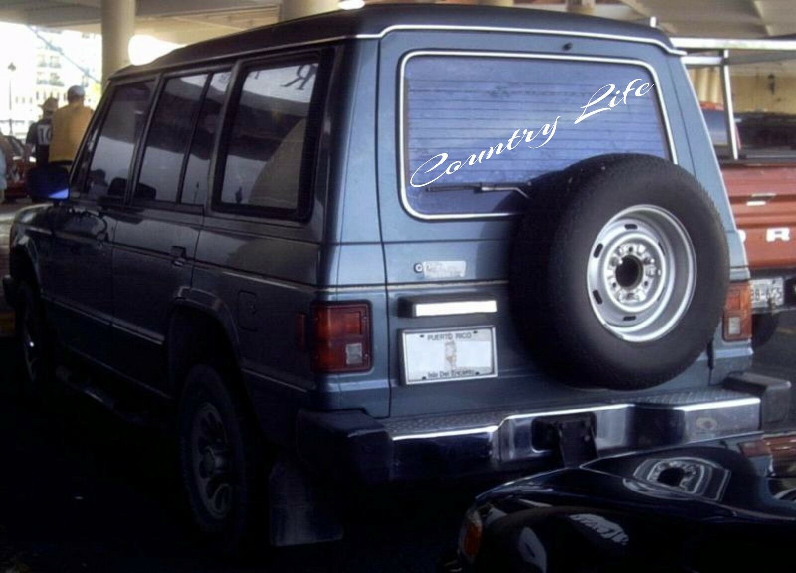 Country Life decal 1100 x 150 mm CONFIRM your color - Crazyfish