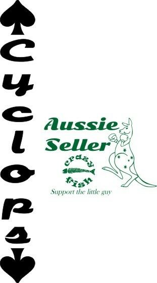 Cyclops cycles vinyl decal 200 x 25 mm choose your color - Crazy Fish