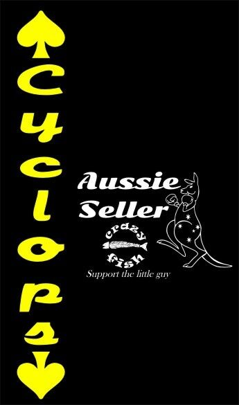 Cyclops cycles vinyl decal 200 x 25 mm choose your color - Crazy Fish