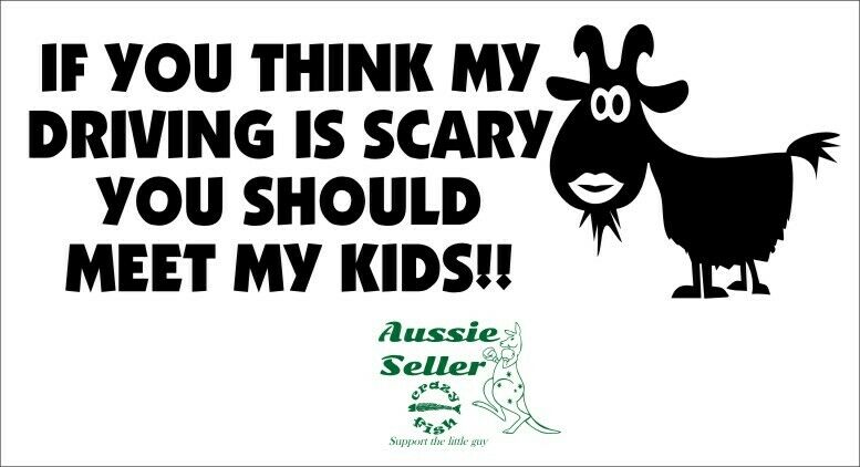 Scary Driver funny vinyl decal 260 X 90 mm, choose your color - Crazy Fish