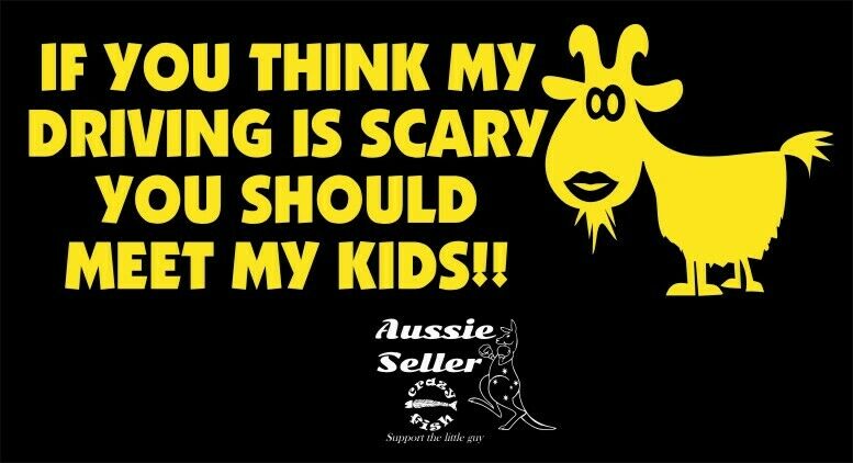 Scary Driver funny vinyl decal 260 X 90 mm, choose your color - Crazy Fish